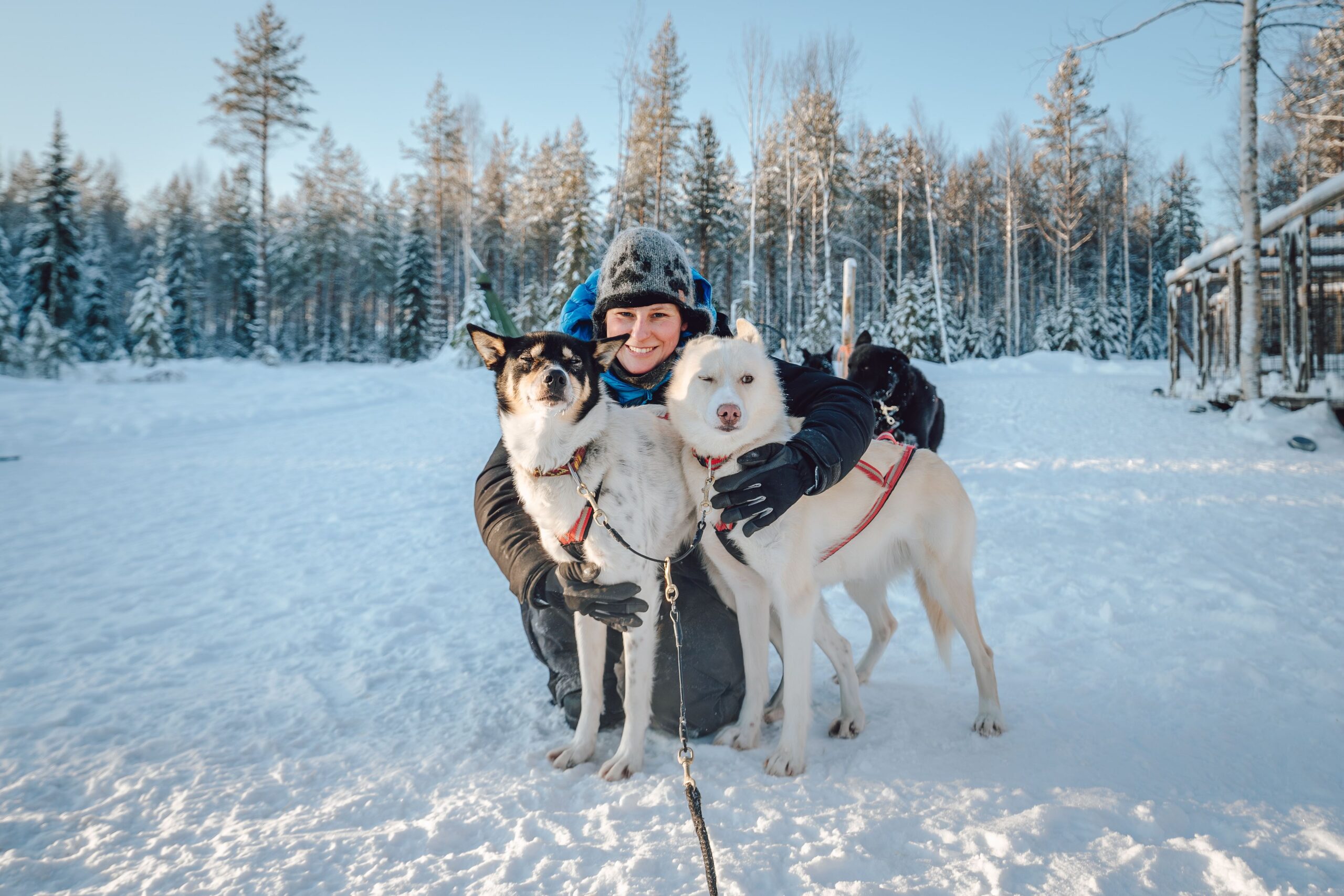 Ranua WildLife Zoo Park Visit - Visit Rovaniemi