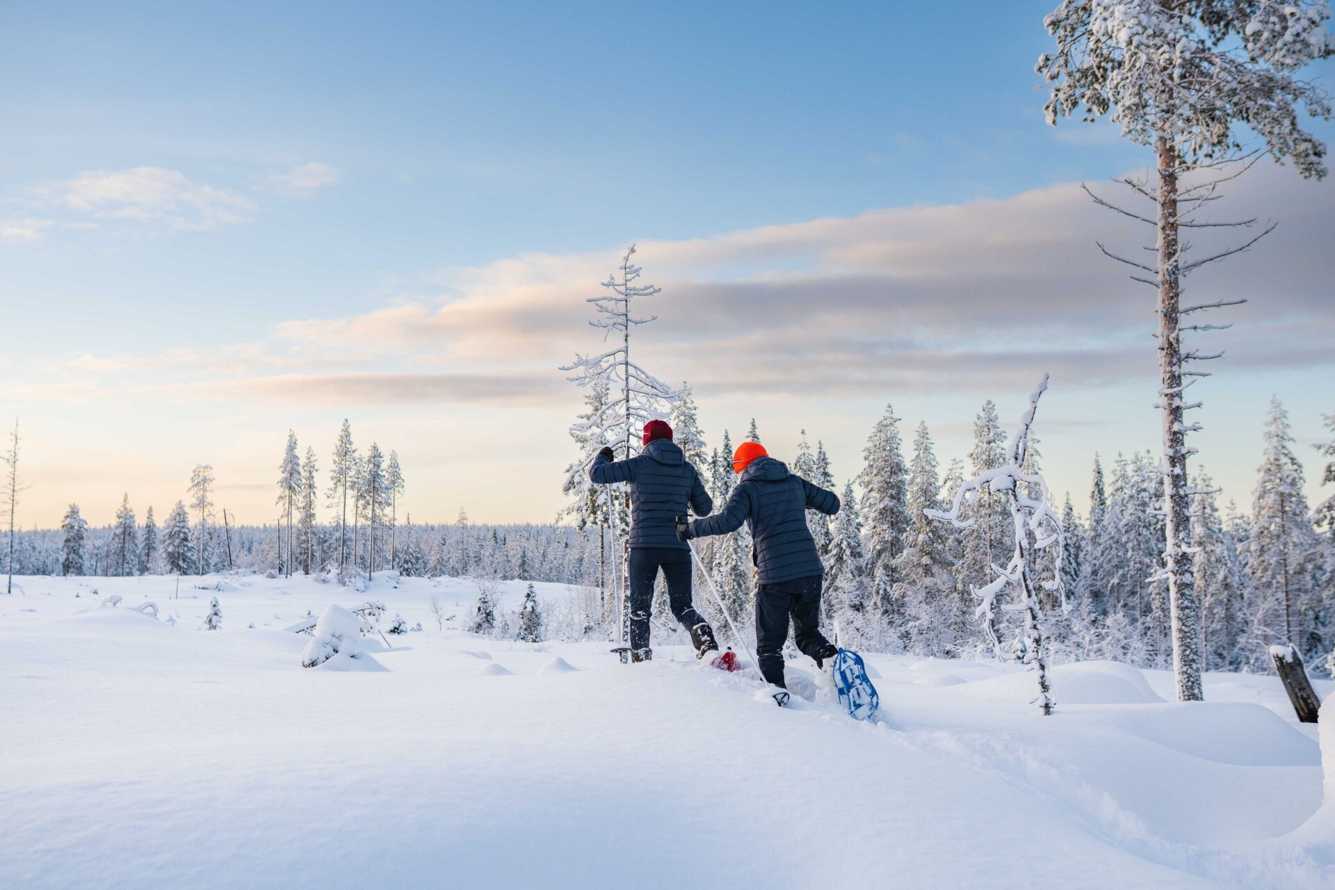 Snowshoe Adventure In The Wilderness By Beyond Arctic - Visit Rovaniemi