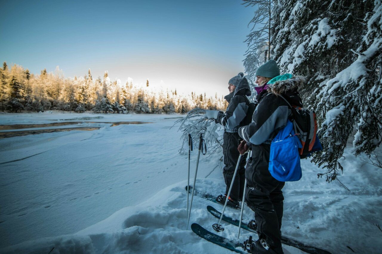 Snowshoe Adventure In The Wilderness By Beyond Arctic - Visit Rovaniemi