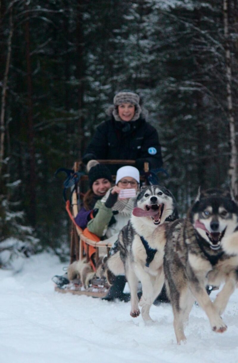 Nulkki Husky Adventure - Visit Rovaniemi