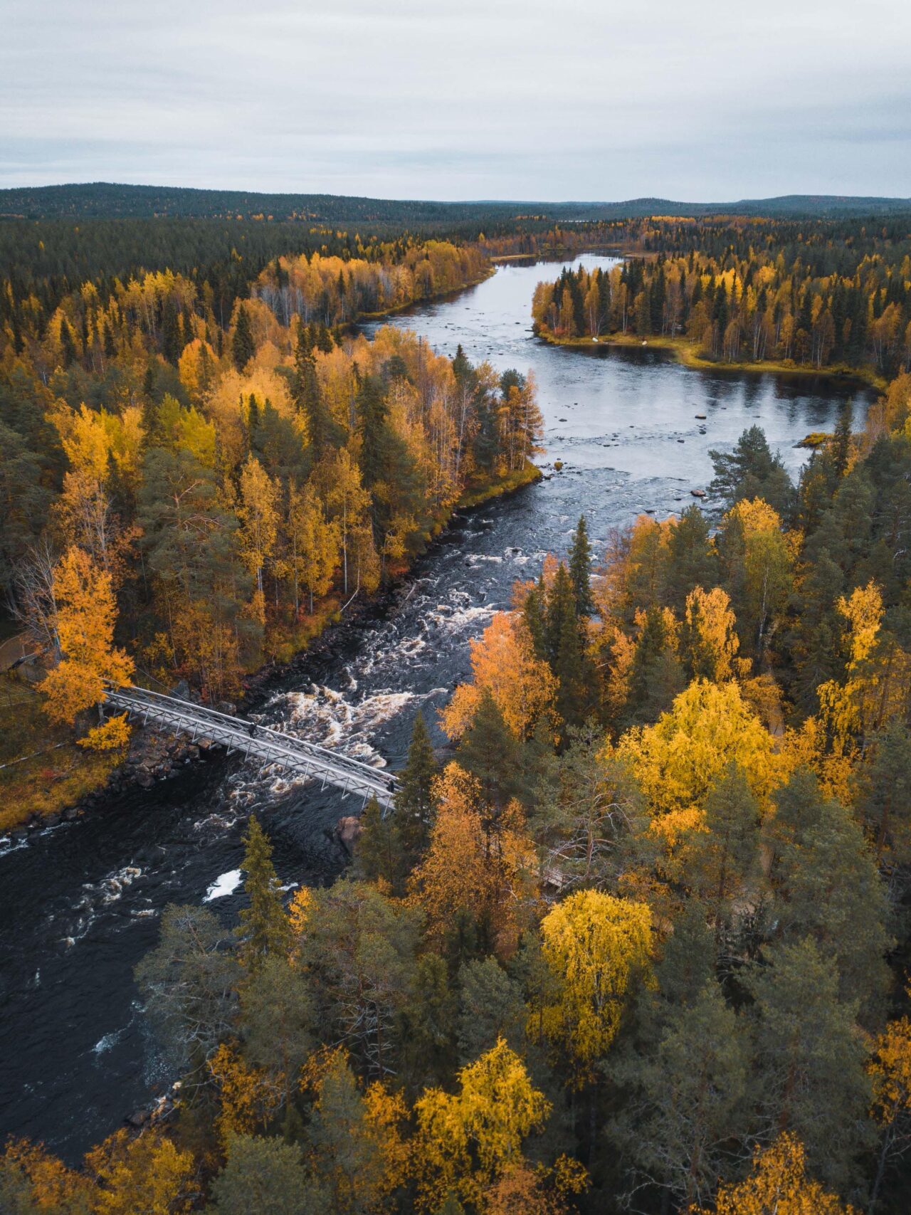 Travel To Lapland By Train - Exciting Trip To Rovaniemi 2026