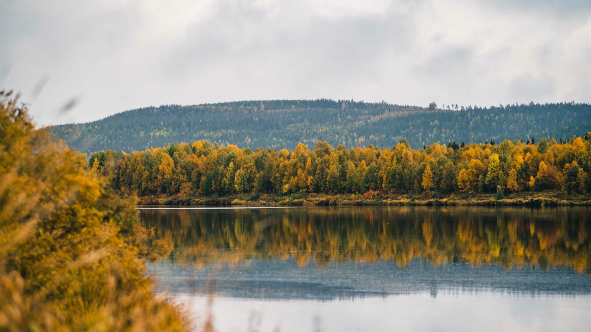 Autumn Highlights In Rovaniemi, Lapland