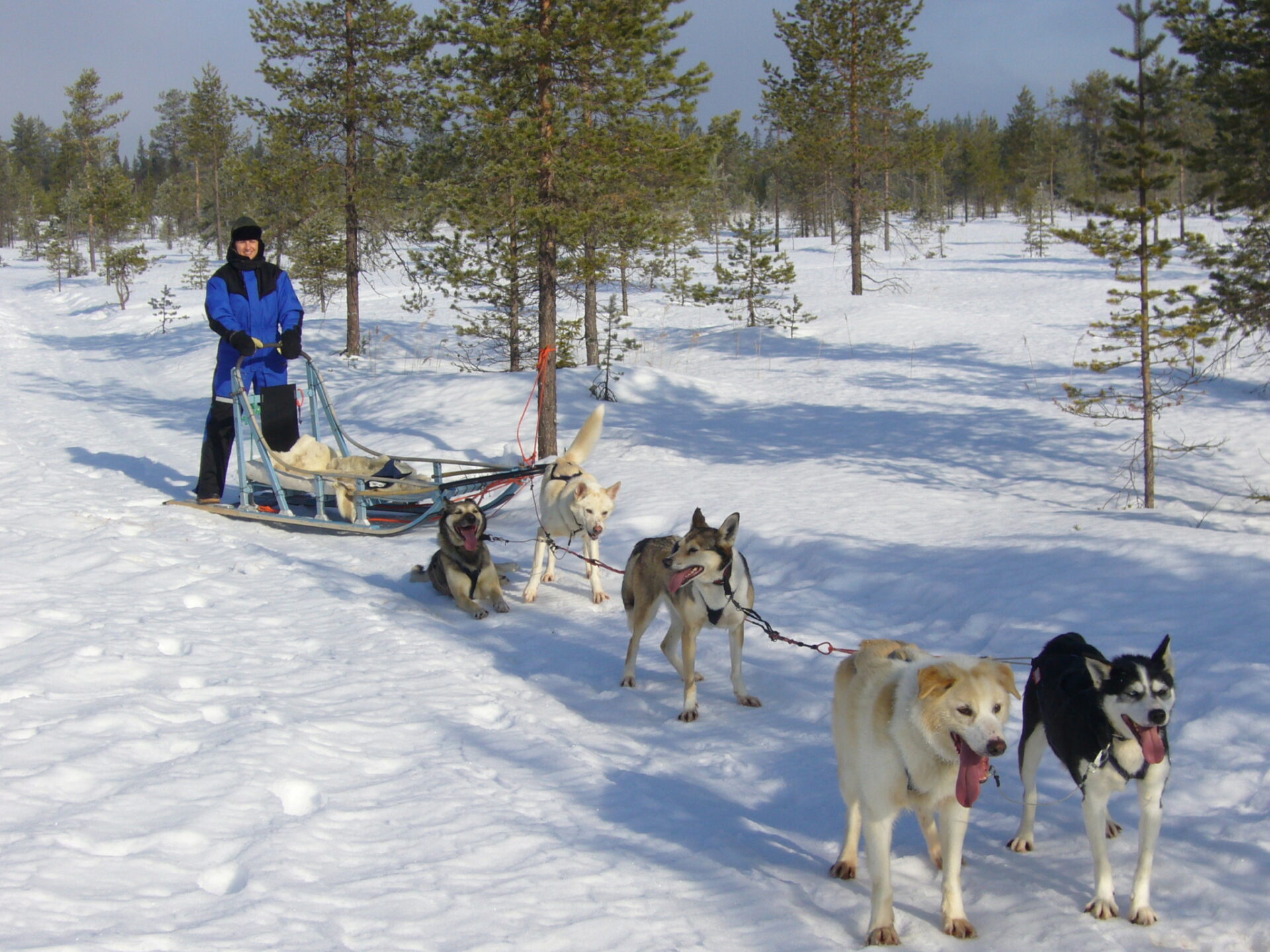 Lapland Welcome Rovaniemellä, Lapissa - Visit Rovaniemi