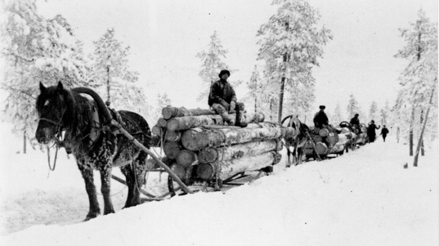 Forestry Museum of Lapland in Rovaniemi - Visit Rovaniemi