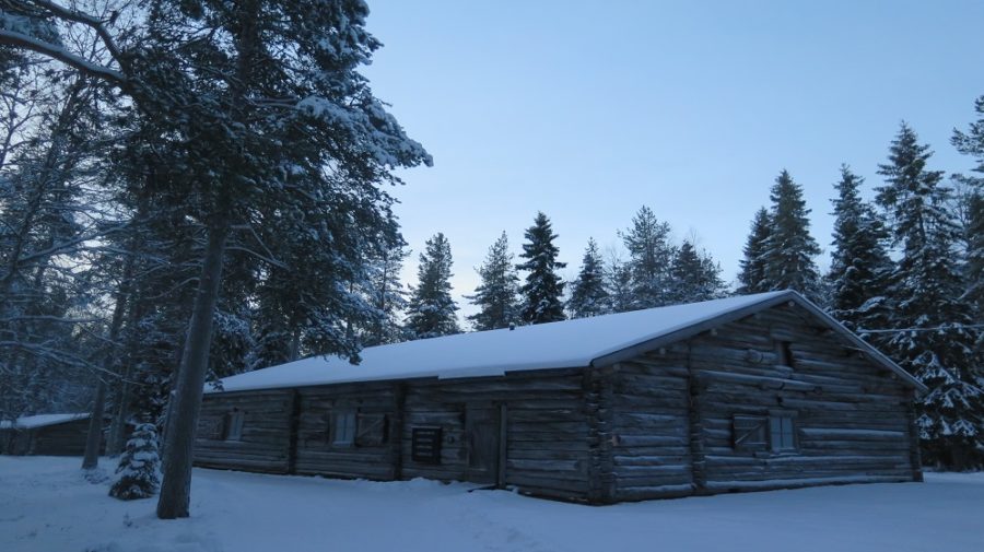 Forestry Museum of Lapland in Rovaniemi - Visit Rovaniemi