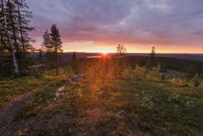Ounasvaara Nature Trail - Visit Rovaniemi