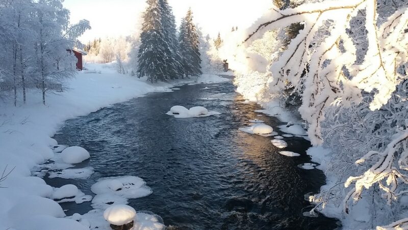 Arctic Adventure Wolftrail In Rovaniemi, Lapland, Finland - Visit Rovaniemi