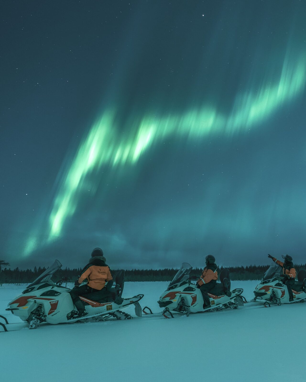 Visit Of Authentic Reindeer Farm In Winter (with A Reindeer Ride If ...