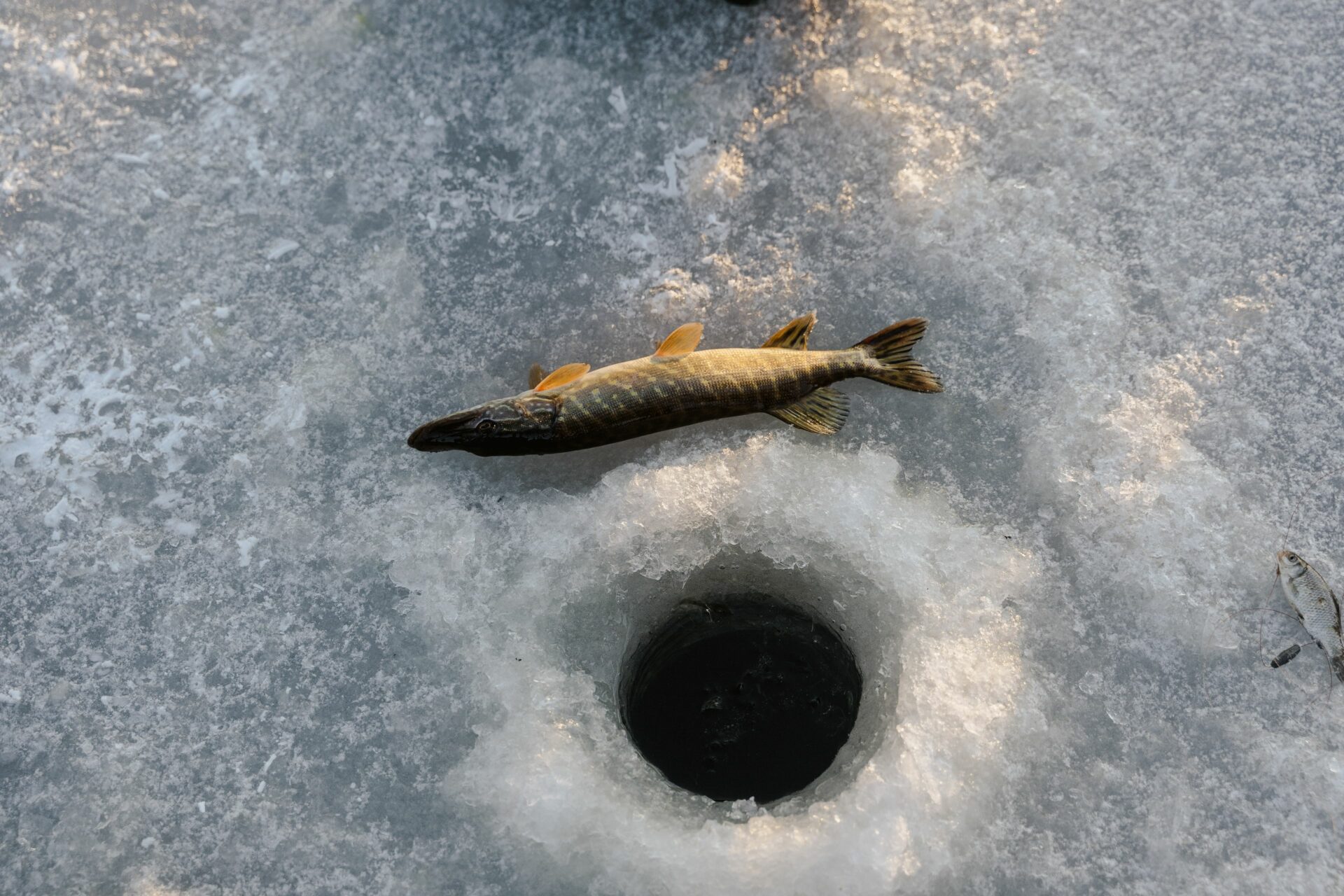 Experience Ice Fishing - Visit Rovaniemi
