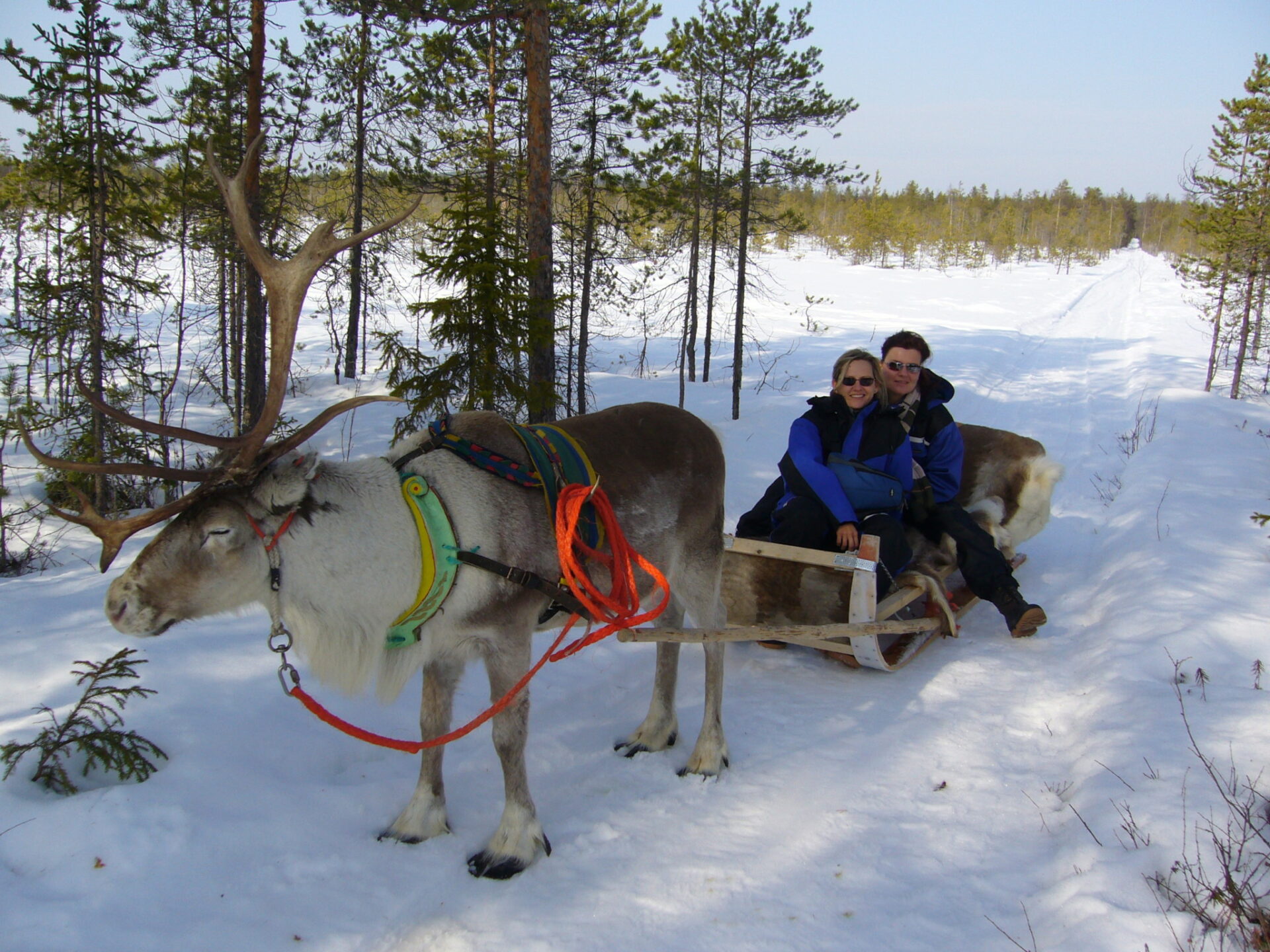 Lapland Welcome Rovaniemellä, Lapissa - Visit Rovaniemi